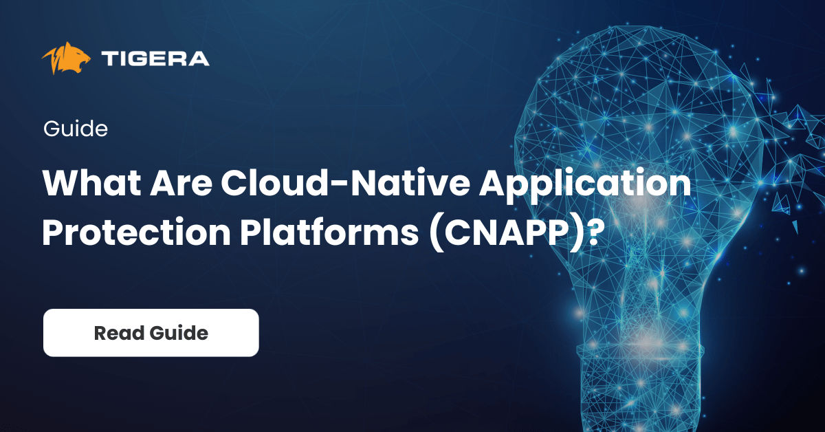 What Is CNAPP (Cloud-Native Application Protection Platform)?