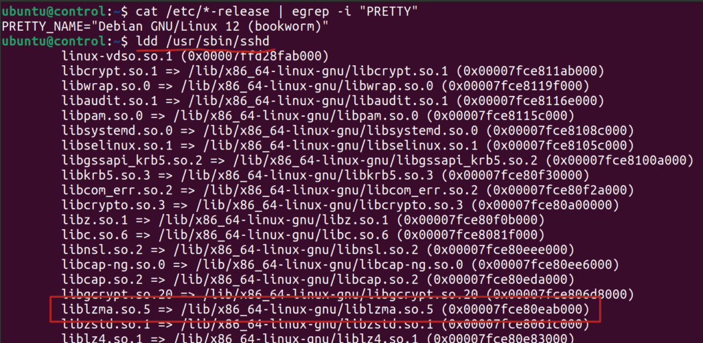 CVE-2024-3094 Exposed: A Guide to Overcoming XZ/liblzma and Similar Threats Using Calico ...