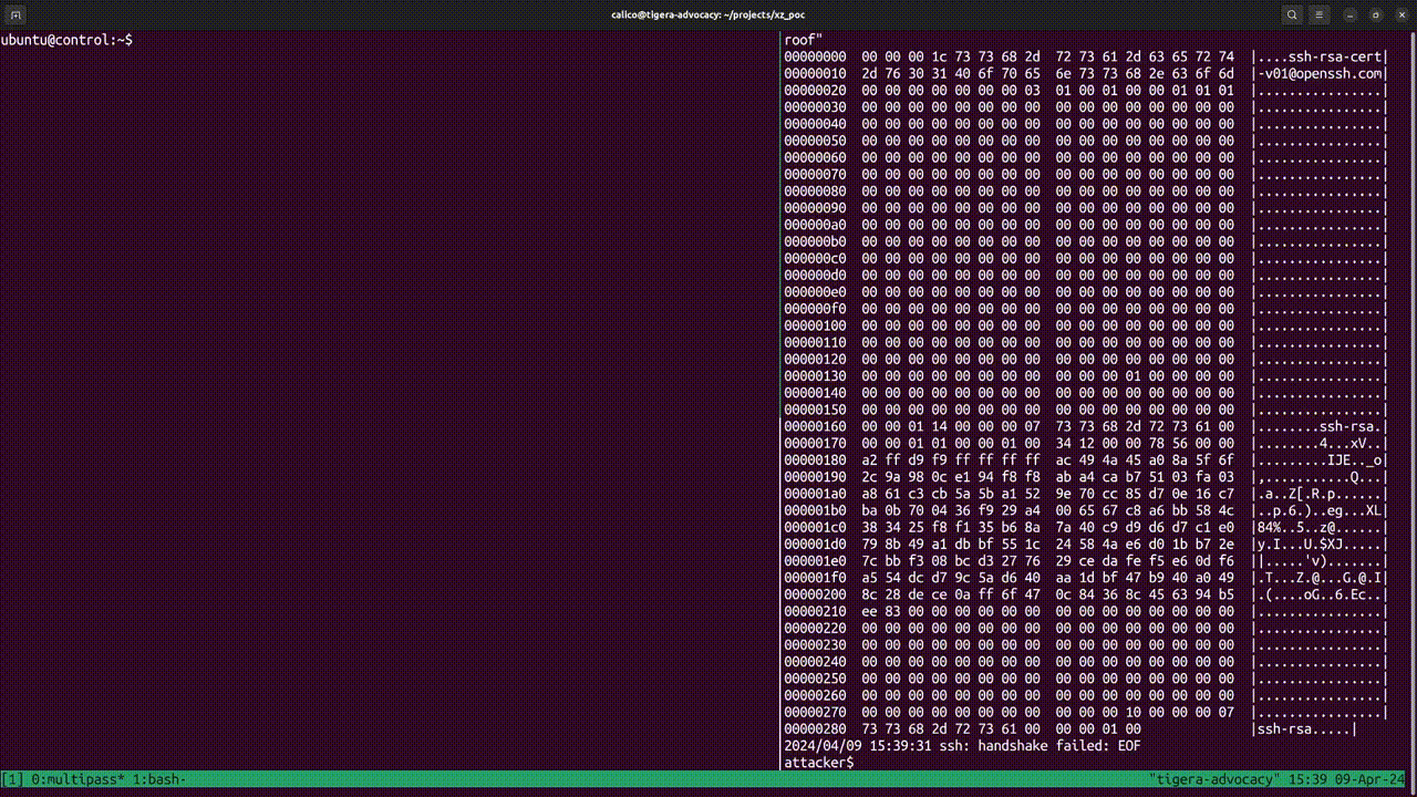 CVE-2024-3094 Exposed: A Guide to Overcoming XZ/liblzma and Similar Threats Using Calico ...
