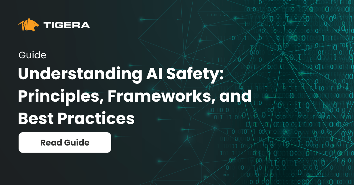 Understanding AI Safety: Principles, Frameworks, and Best Practices