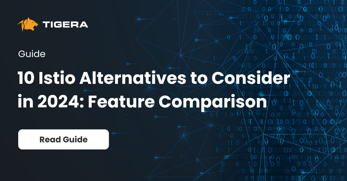 10 Istio Alternatives to Consider in 2024: Feature Comparison