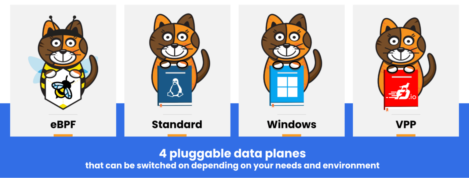 High Performance Kubernetes Networking With Calico Ebpf