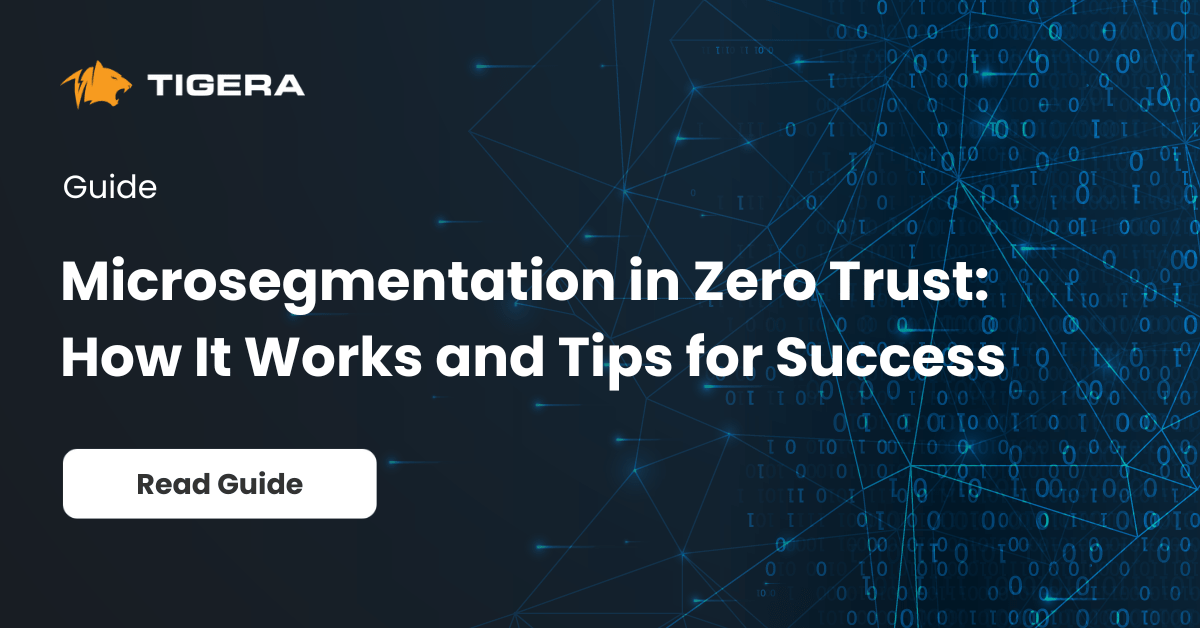 Microsegmentation in Zero Trust: How It Works & Tips for Success