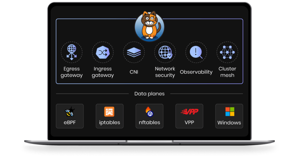 Calico demo: See Calico live in action
