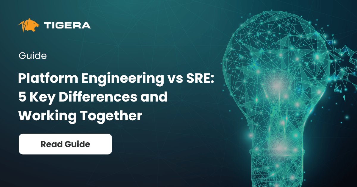 Platform Engineering vs SRE: 5 Key Differences & Working Together
