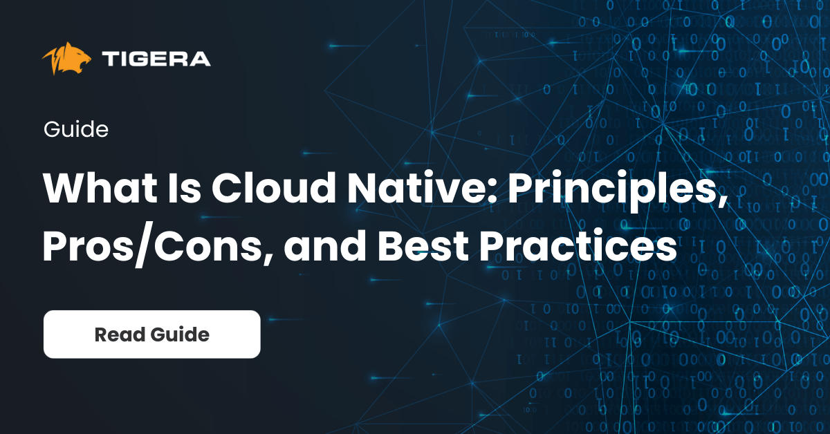 What Is Cloud Native? Principles, Pros/Cons & Best Practices